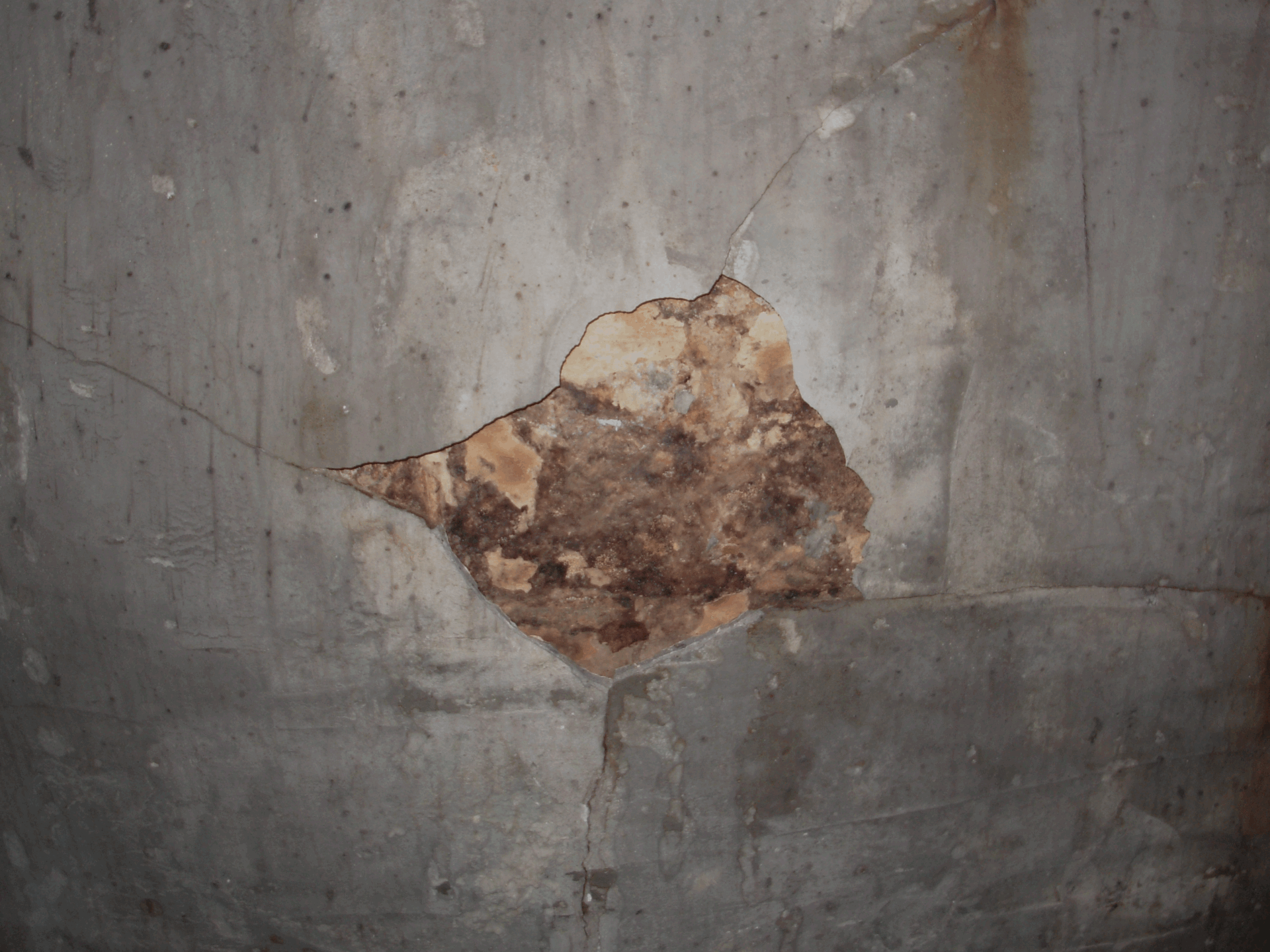 How To Dry Your Basement in 5 Simple Steps | Wise blog